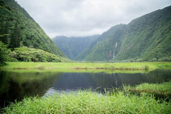 waimanu-valley-the-view – KNKR 96.1FM